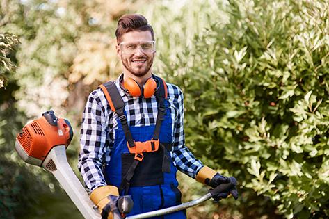 Access 100s of Free Training Courses